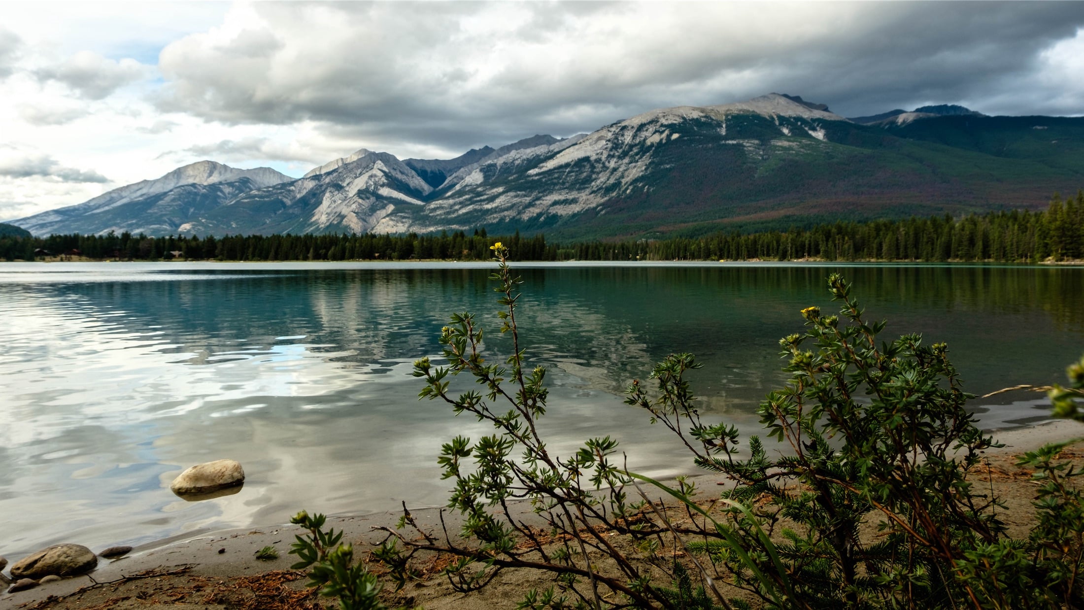 Winter Activity Centre - Fairmont Jasper Park Lodge